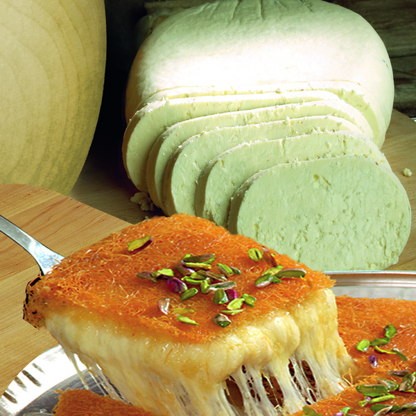 DAIRY EXHIBITORS - SaudiFood 2023